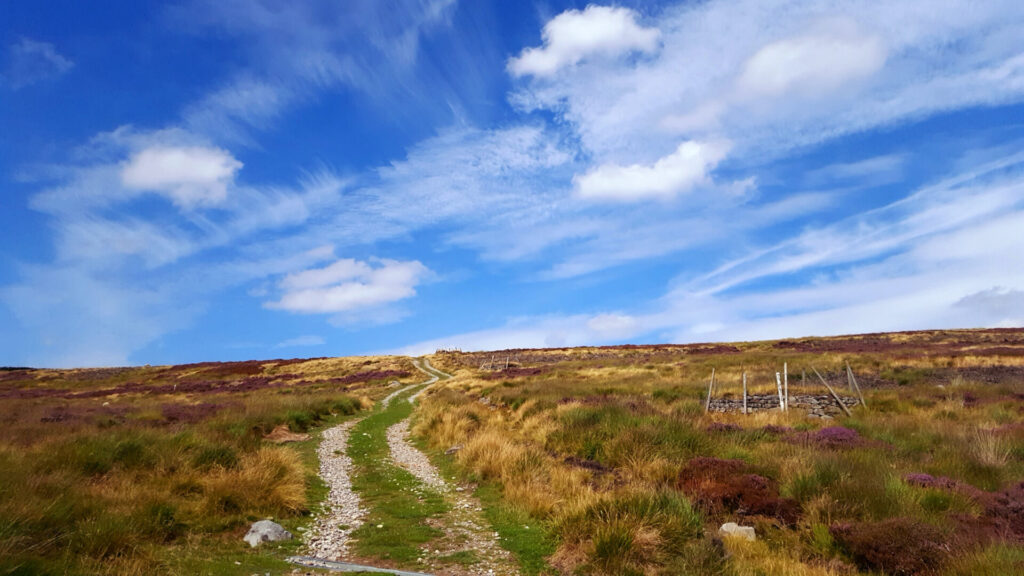 Moorland - Nidderdale National Landscape