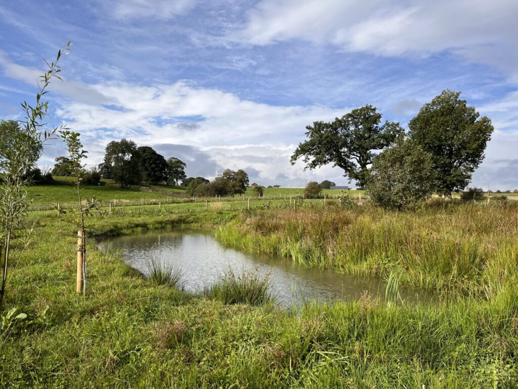 Catchment Sensitive Farming - Nidderdale National Landscape