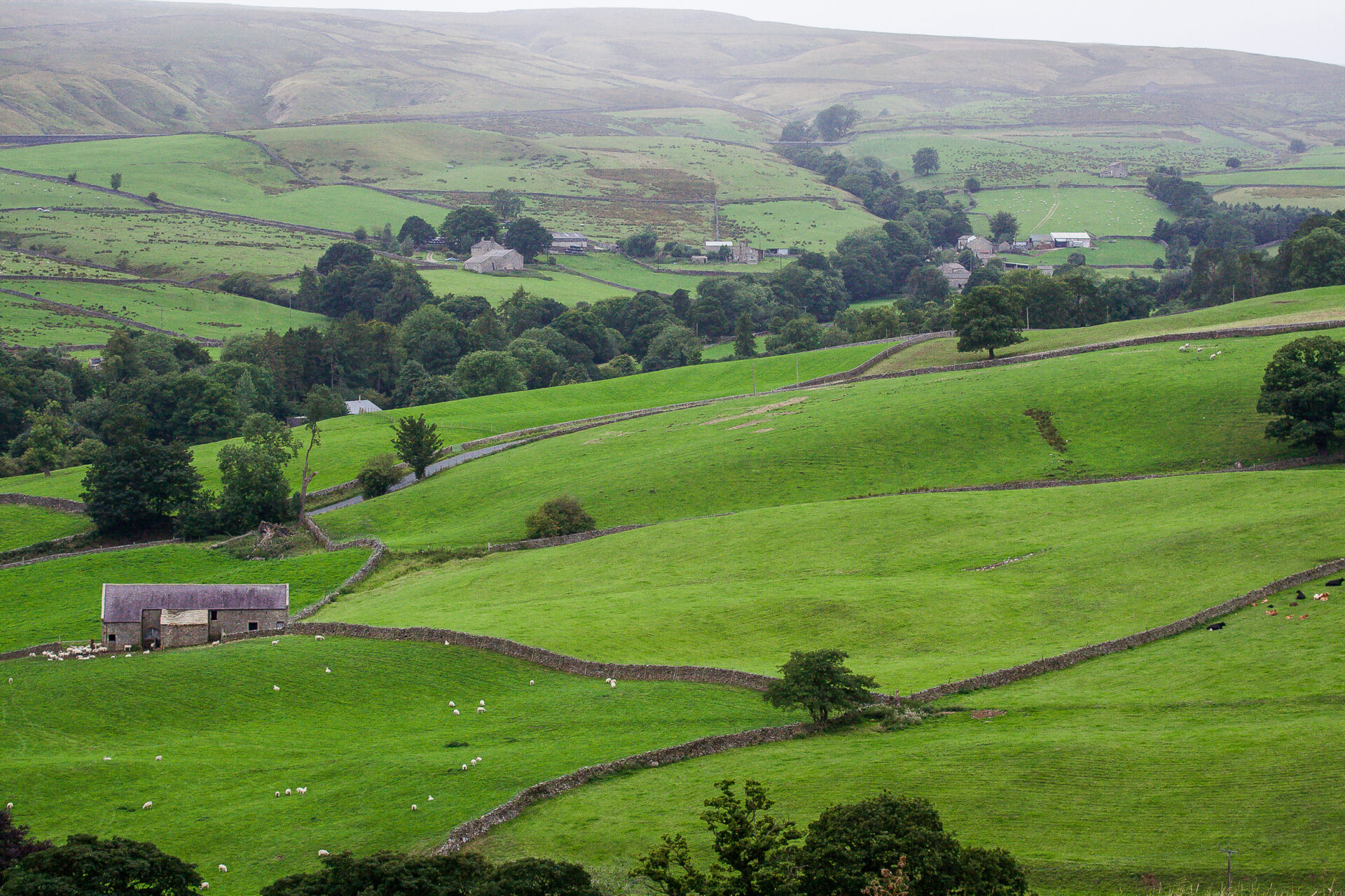 Stean Trail - Nidderdale National Landscape