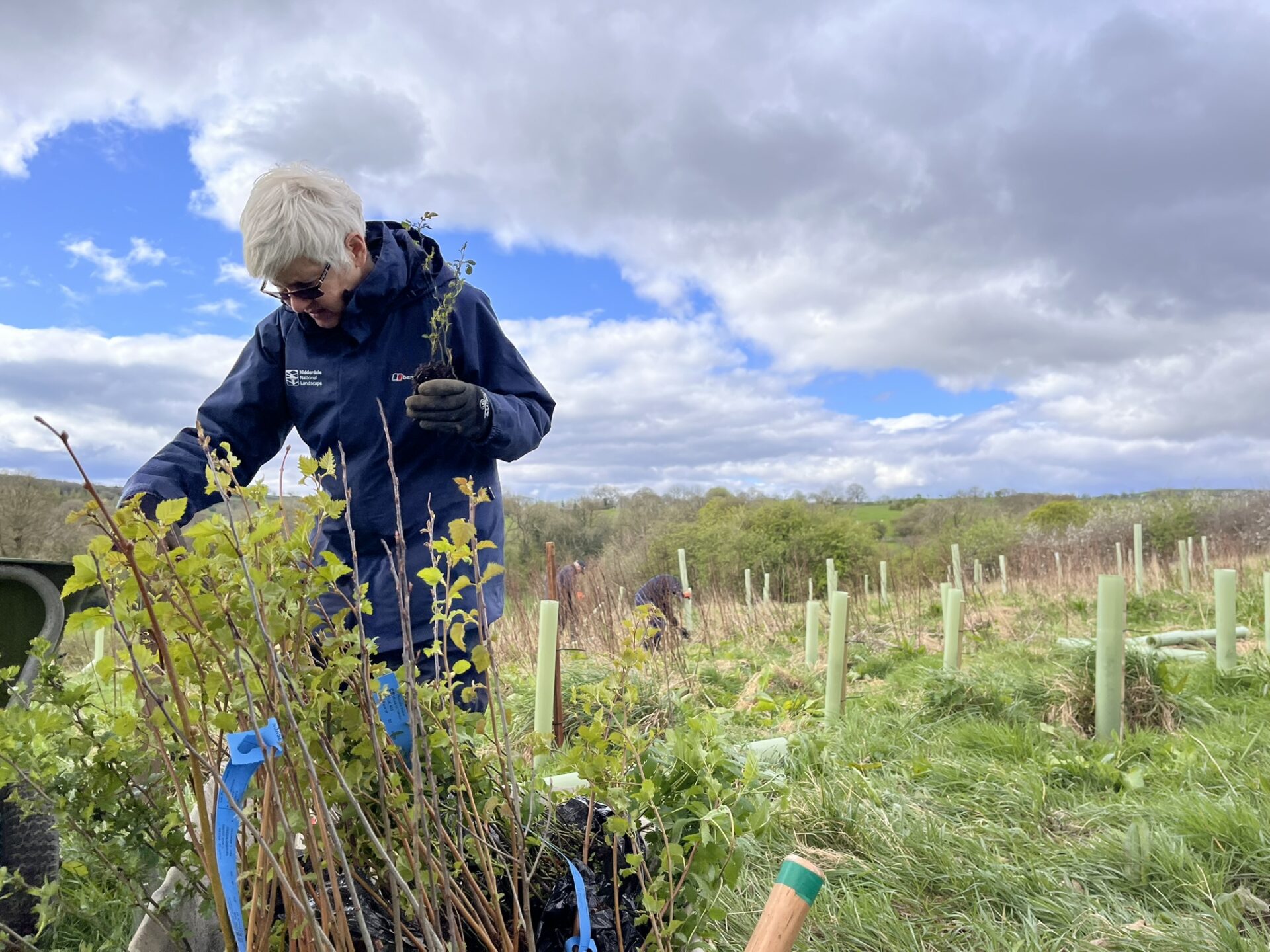 Looking After Your Newly Planted Trees - Nidderdale National Landscape