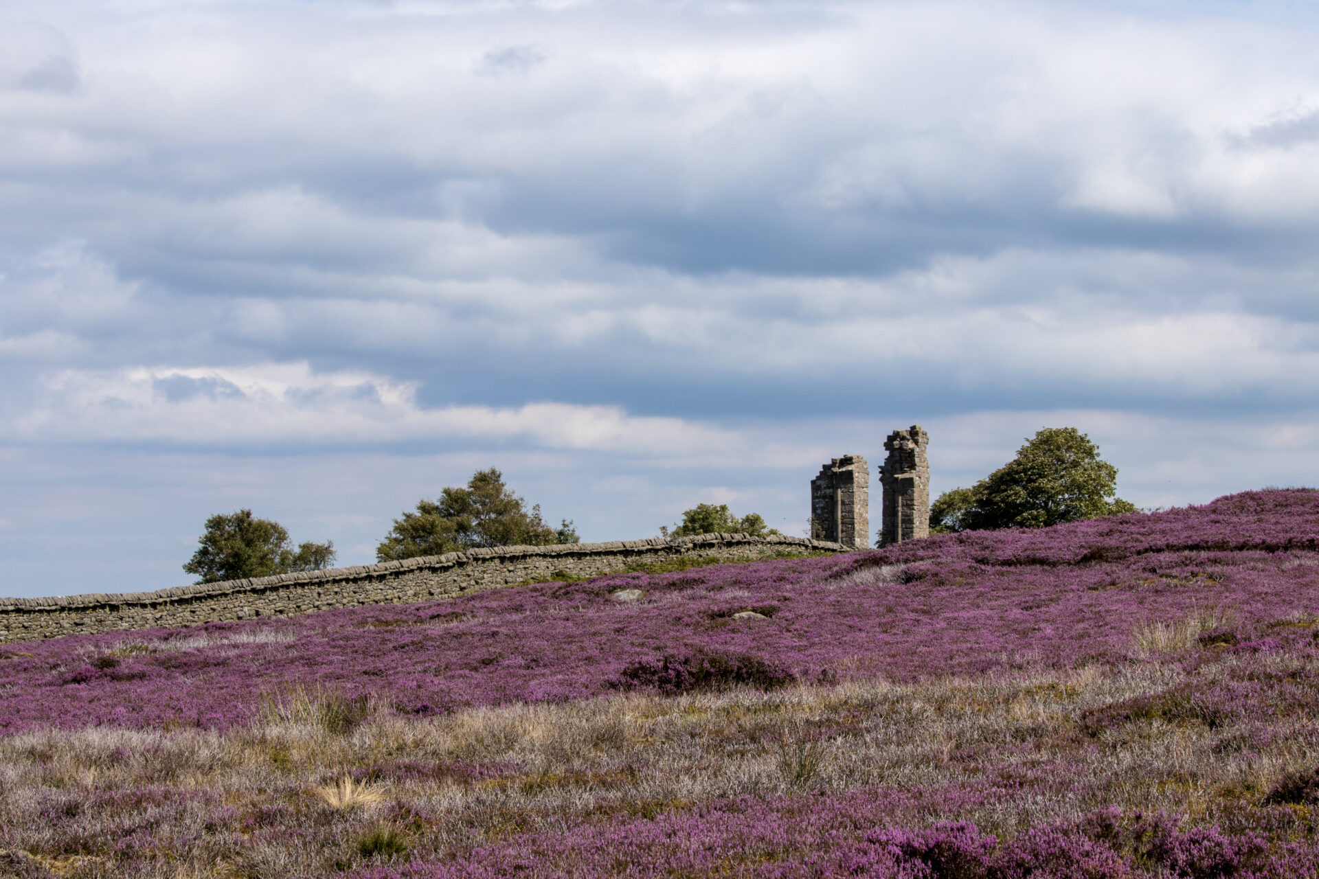 Nought Moor Trail - Nidderdale National Landscape