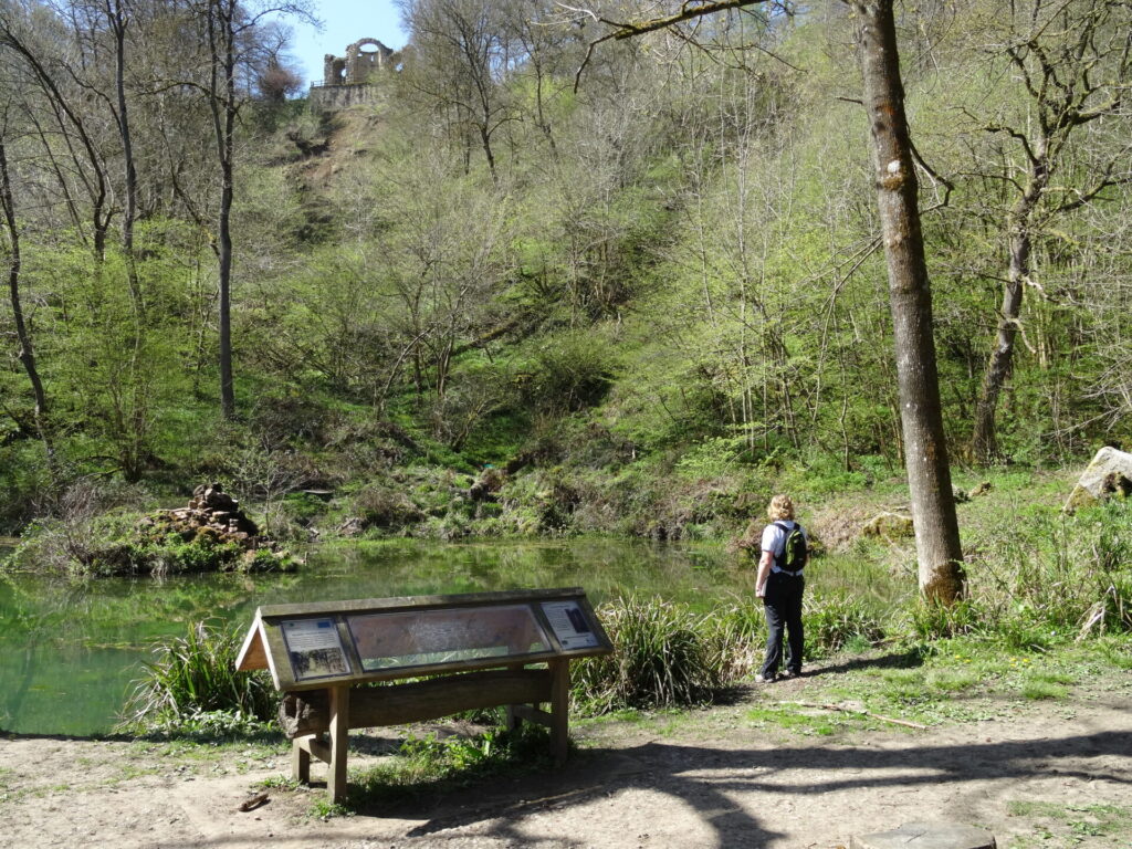 Hackfall - Nidderdale National Landscape