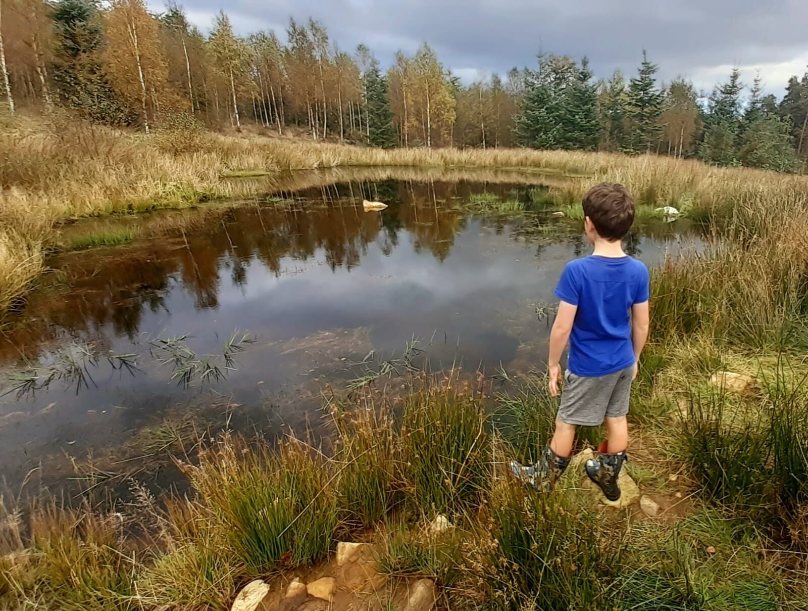 Timble Ings - Nidderdale National Landscape